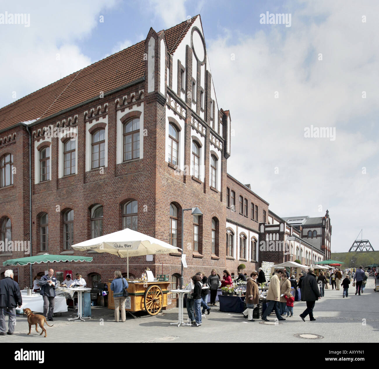 Industrial site of the former coal mine Waltrop, Germany, North Rhine ...