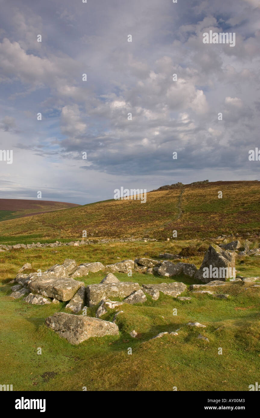 Hut in Grimspound bronze age settlement Dartmoor Devon England Stock ...