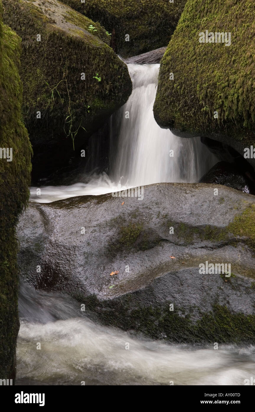 Water flowing between rocks Becky Falls Dartmoor Devon England Stock ...