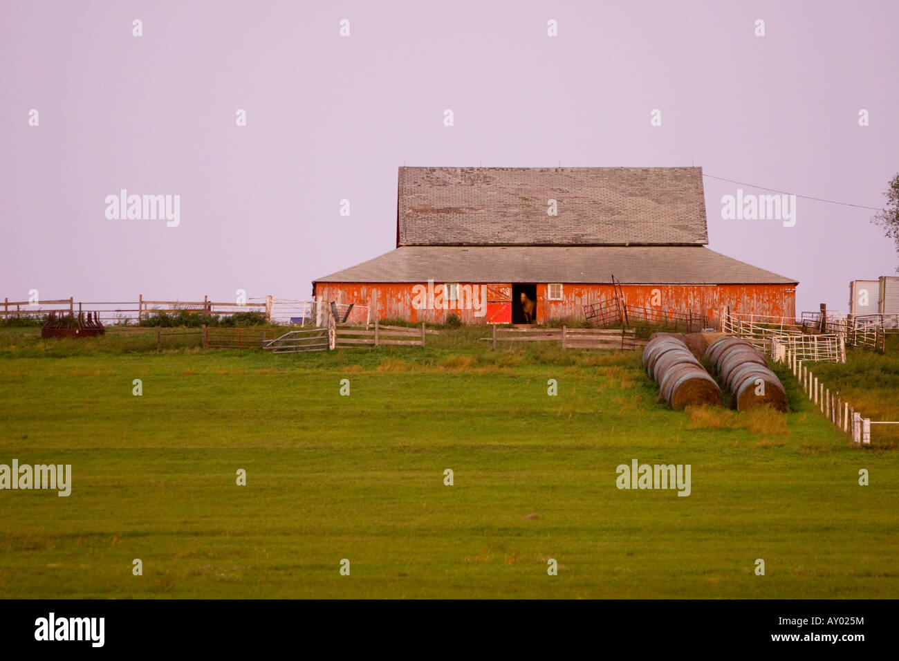 Horse Barn Photography