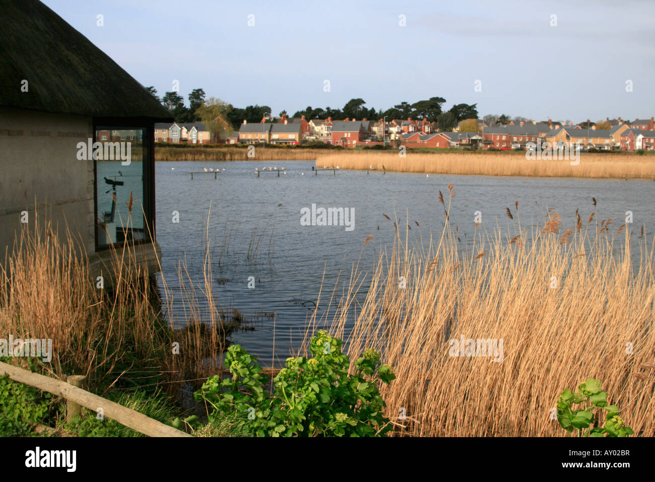 Radipole rspb hi-res stock photography and images - Alamy