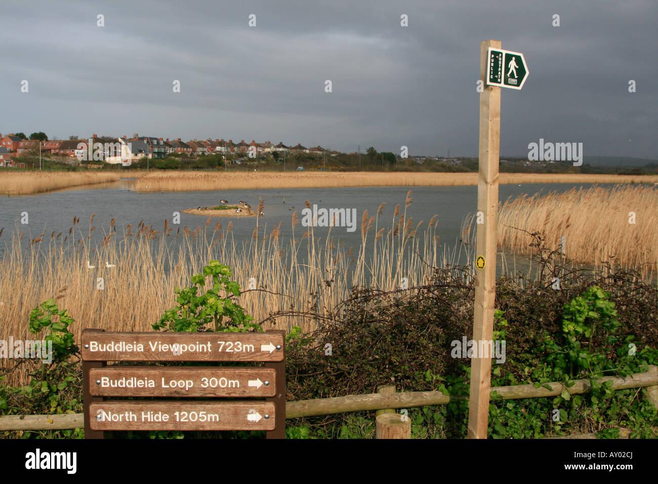 Radipole nature reserve hi-res stock photography and images - Alamy