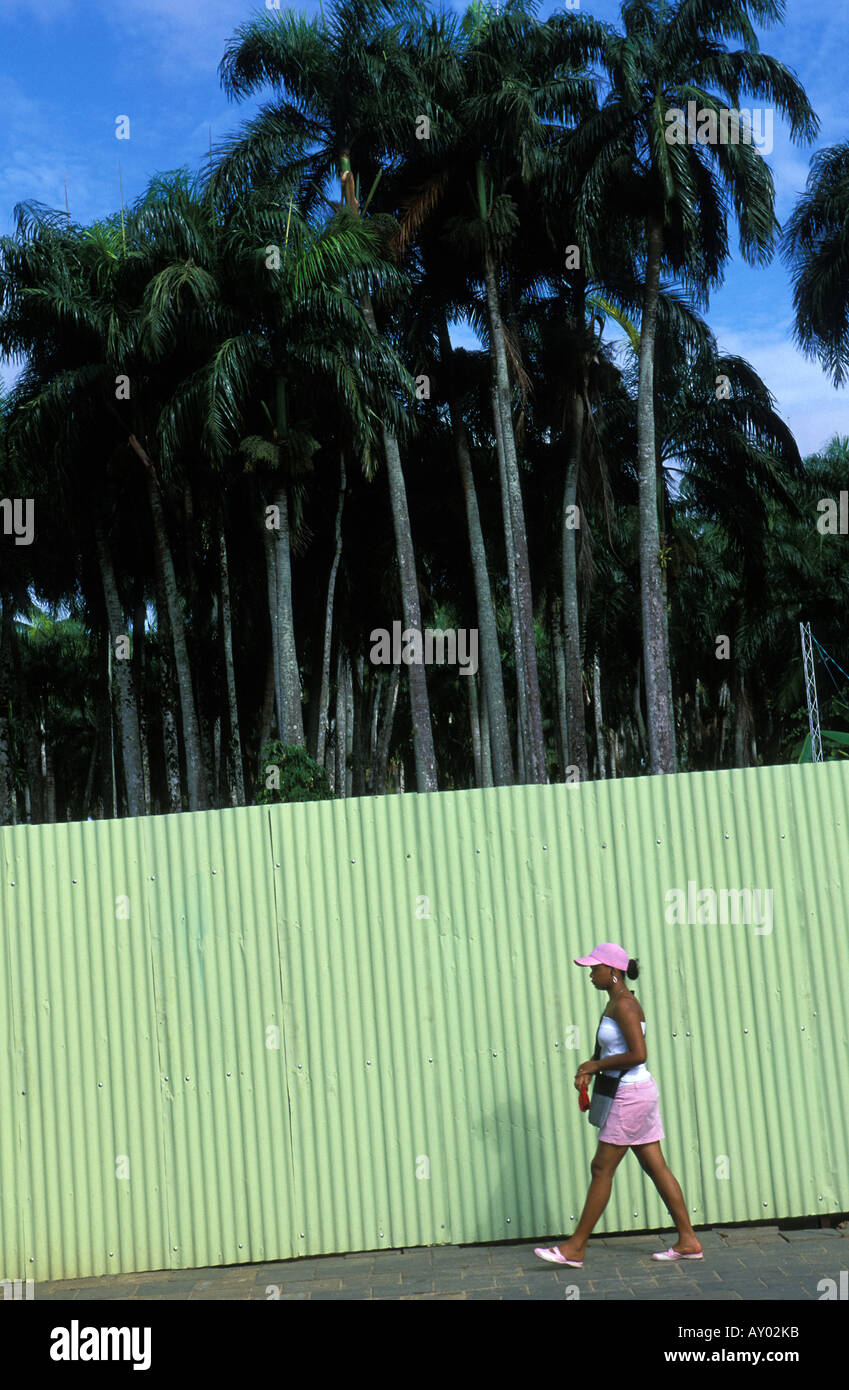 Paramaribo a woman passing the palm garden Stock Photo - Alamy