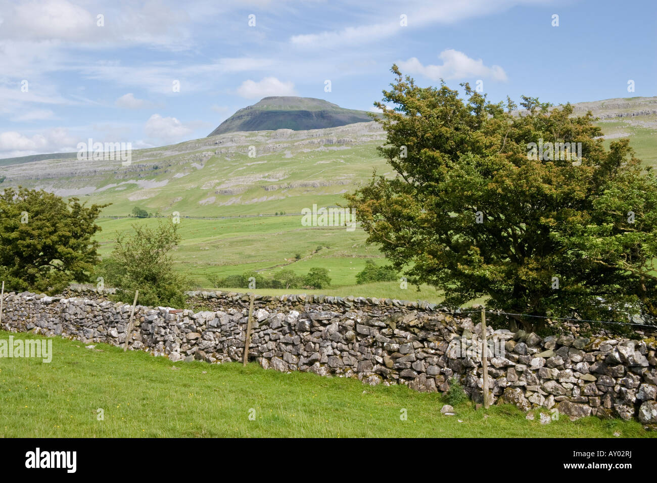 Ingleborough Hill with dry stone wall, near Ingleton, Yorkshire ...
