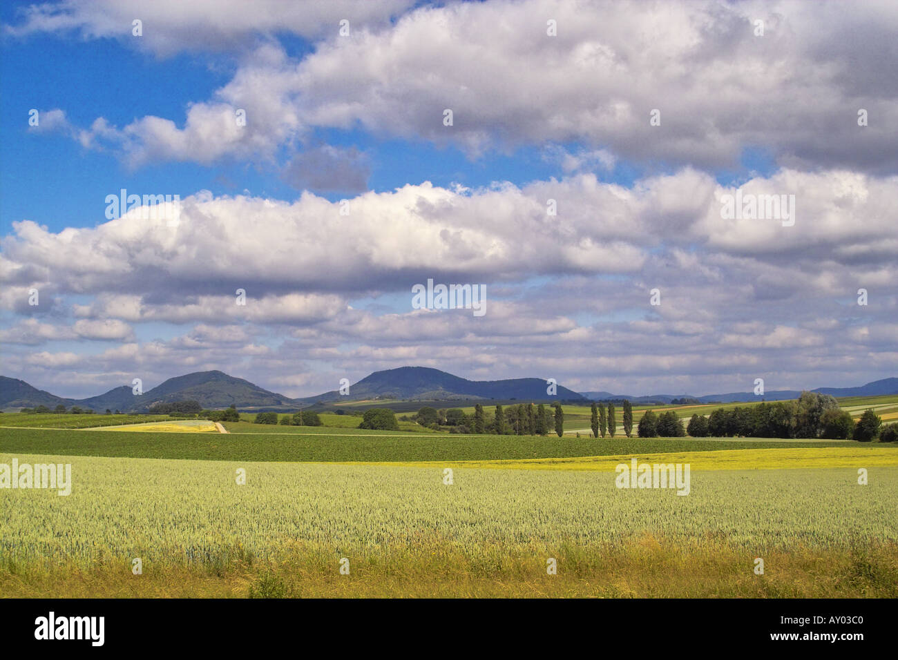 Landscape in summer Stock Photo - Alamy