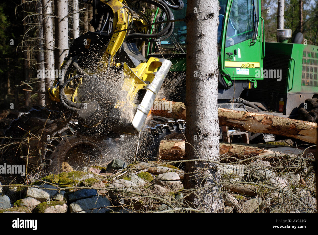 working in forest Stock Photo - Alamy