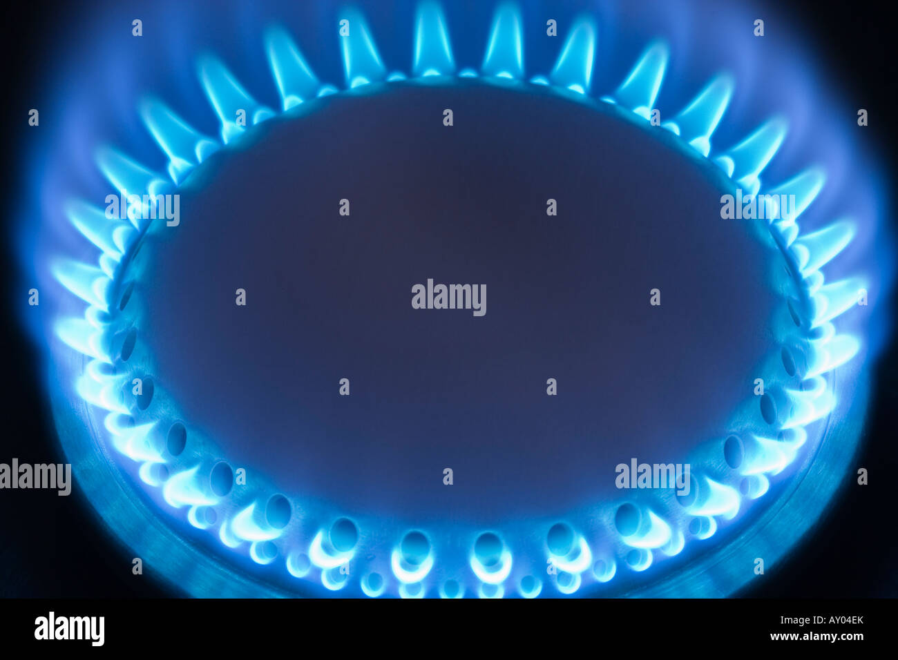 Blue flames of a gas stove Stock Photo - Alamy
