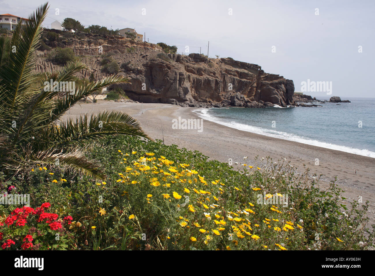 Wildflowers Greece Greek Cretan High Resolution Stock Photography and ...