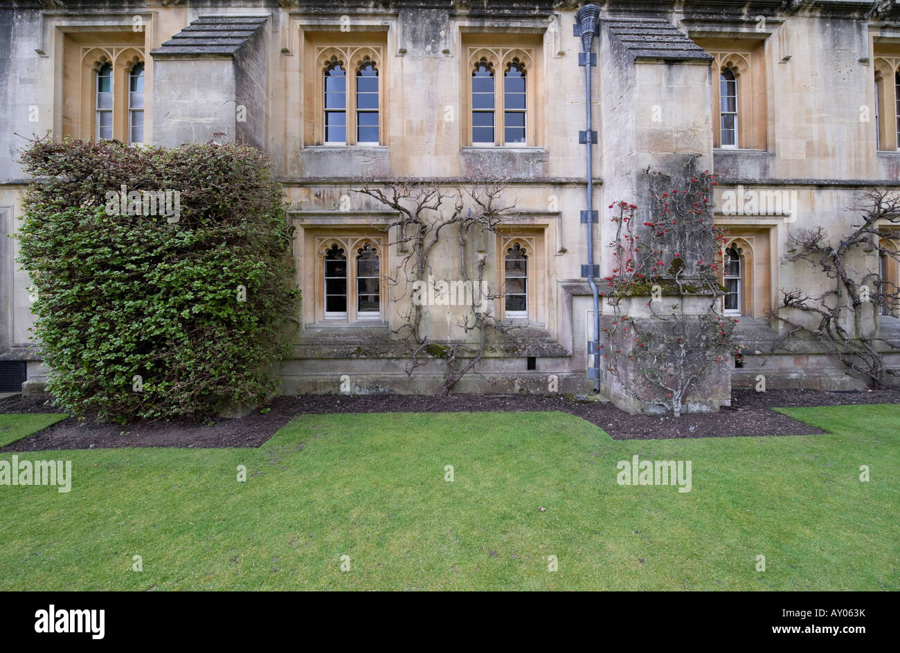 New college cloister hi-res stock photography and images - Alamy