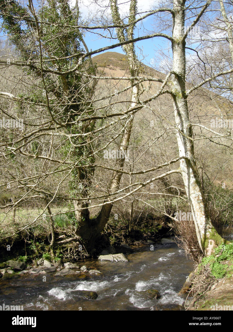 UK COUNTRY TRAIL AND RIVER IN HEDDON MOOR, DEVON Photo © Julio Etchart ...