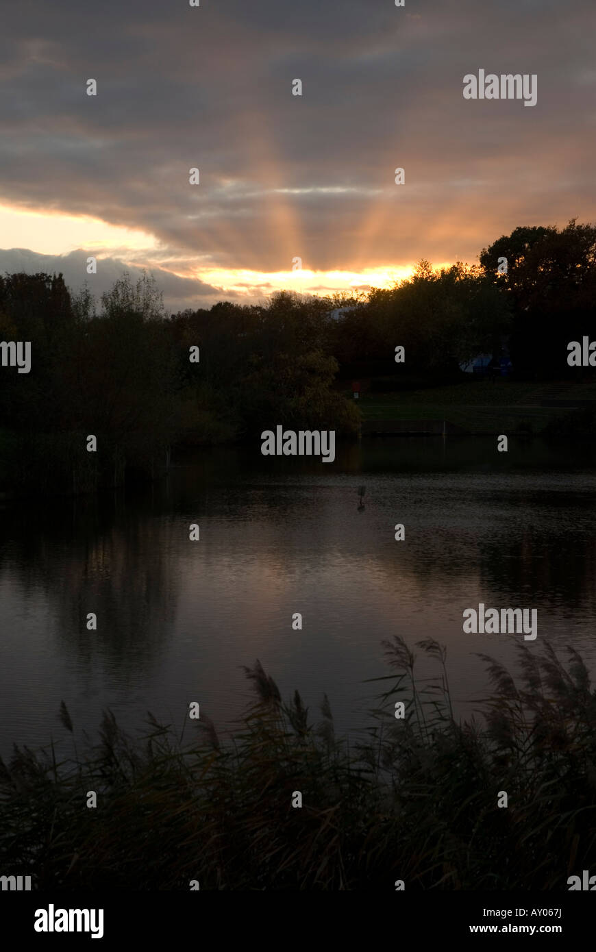 Sunset with rays of light Stock Photo - Alamy