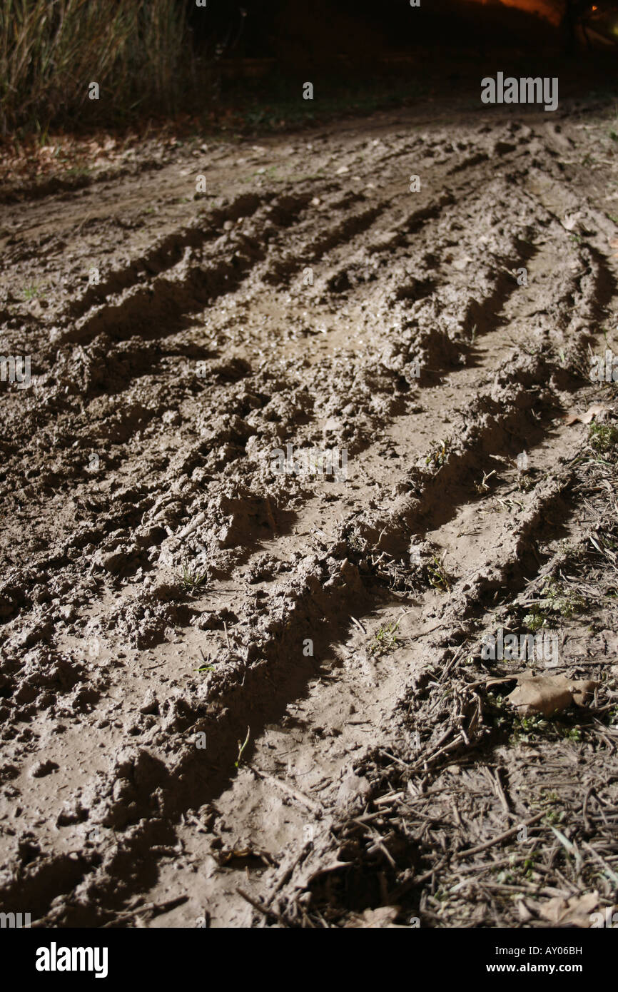 tyre tracks in field at night Stock Photo - Alamy