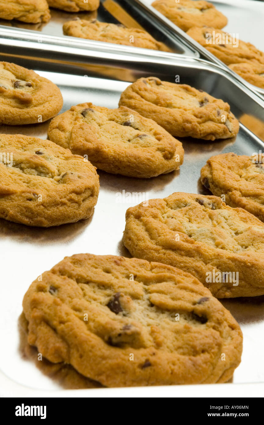 Chocolate chip cookies cooling on trays Stock Photo - Alamy
