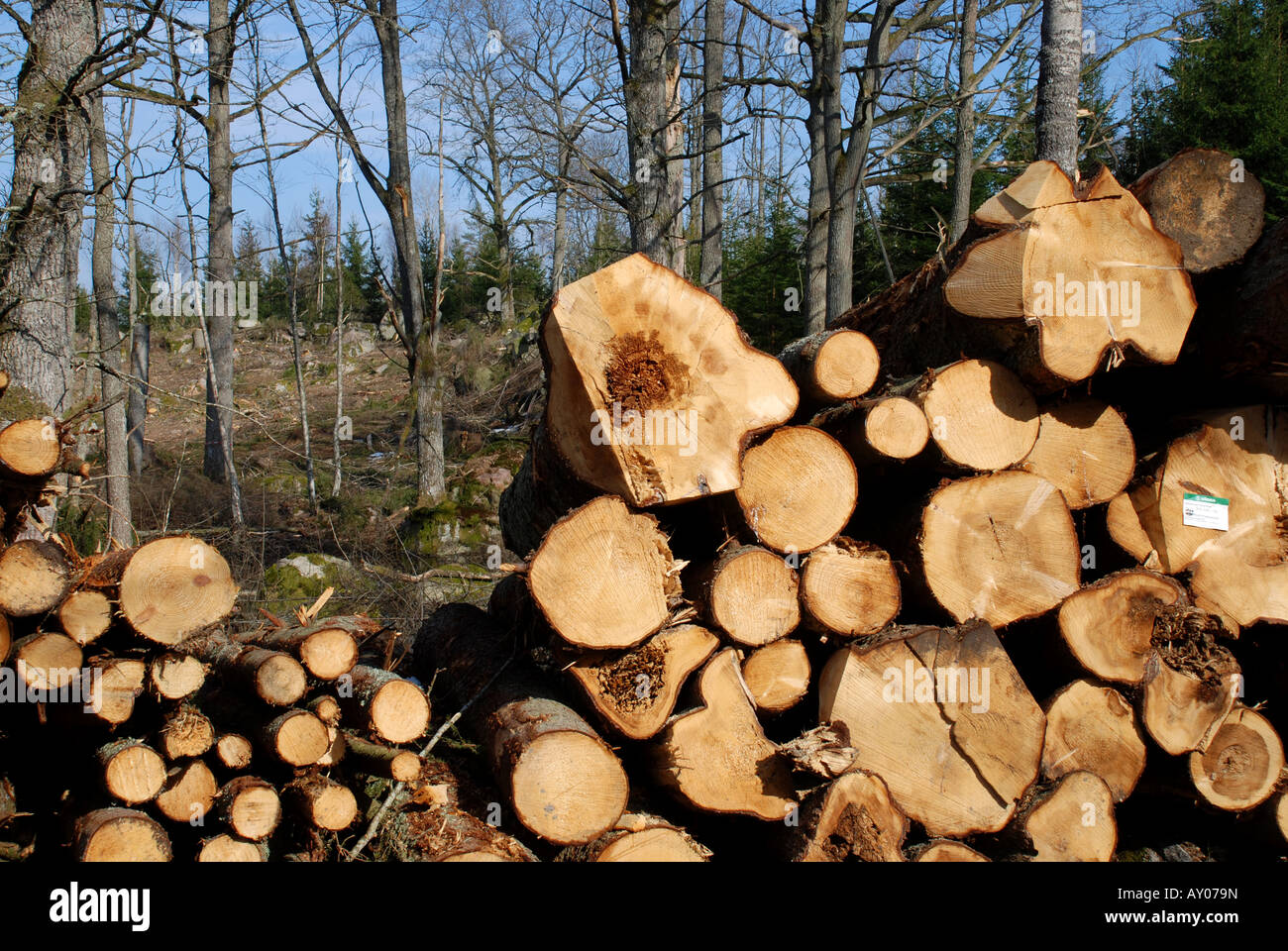 Massaved hi-res stock photography and images - Alamy