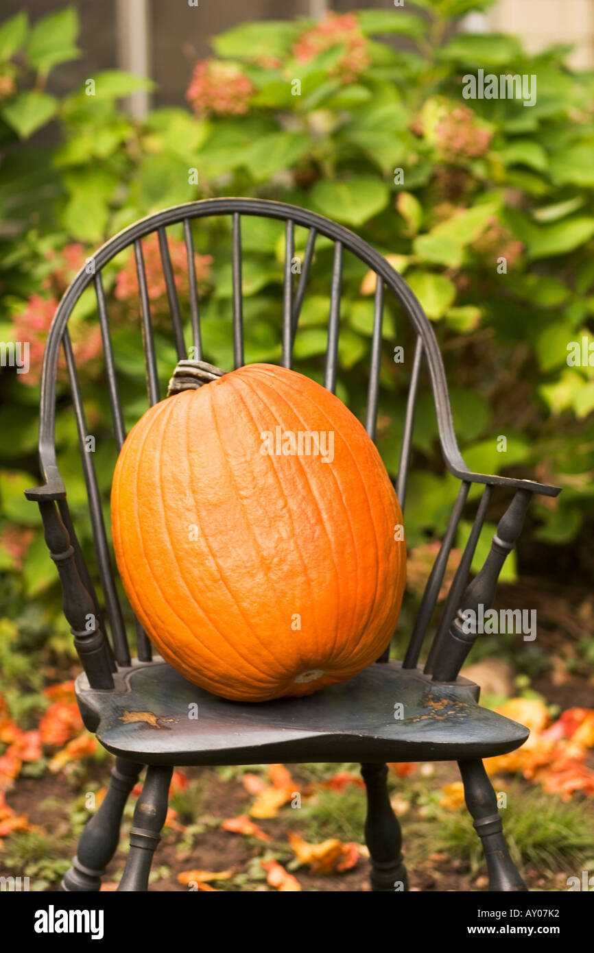 Pumpkin on a Windsor chair, outdoors Stock Photo - Alamy