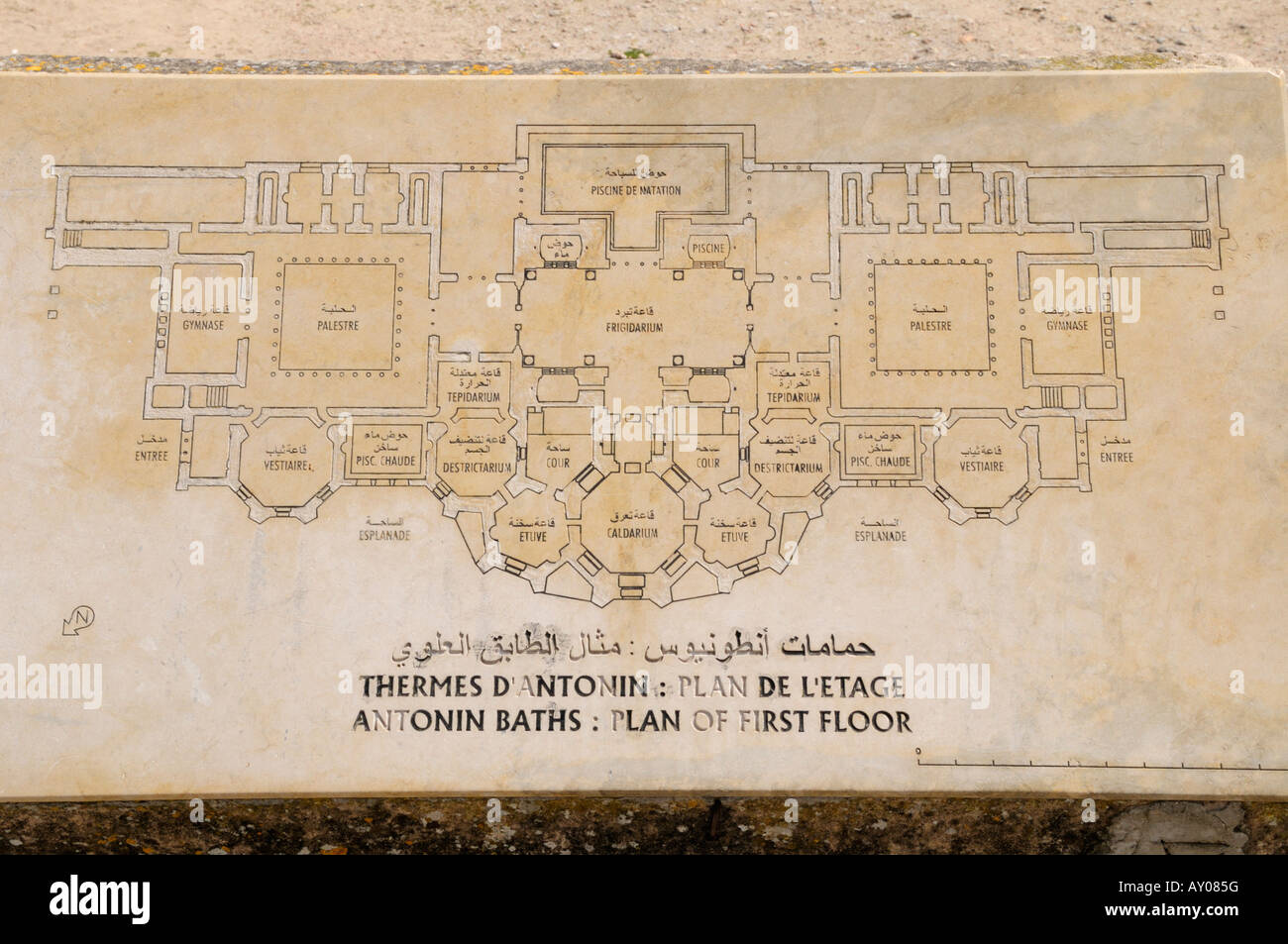 Carthage plan hi-res stock photography and images - Alamy