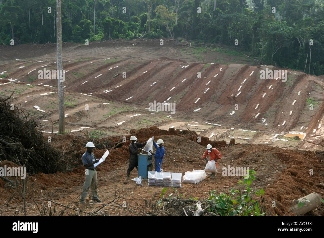Samplers Stock Photos & Samplers Stock Images - Alamy