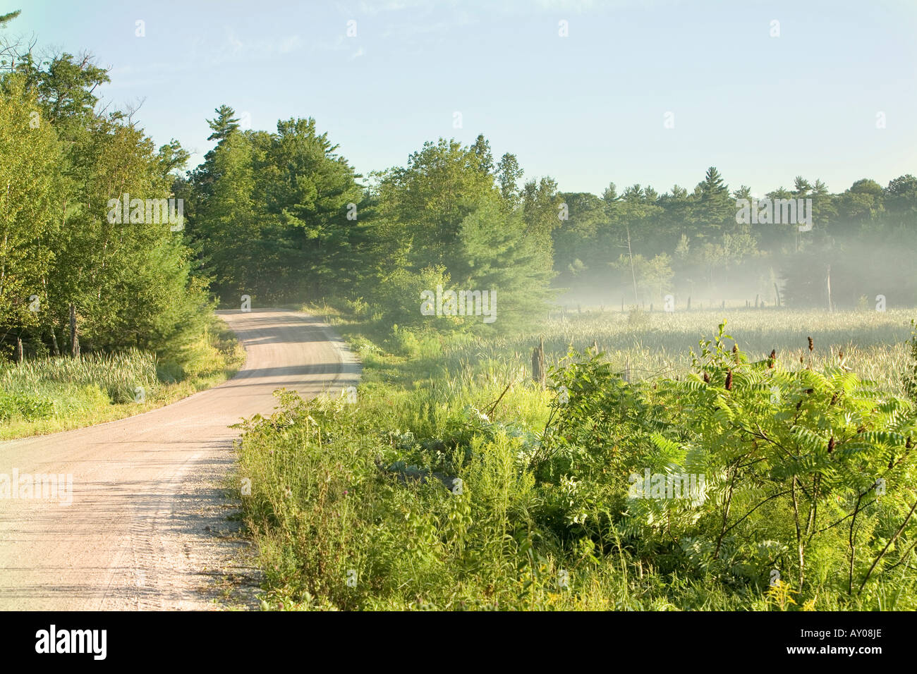 Sunrise over a Canadian marsh Stock Photo - Alamy
