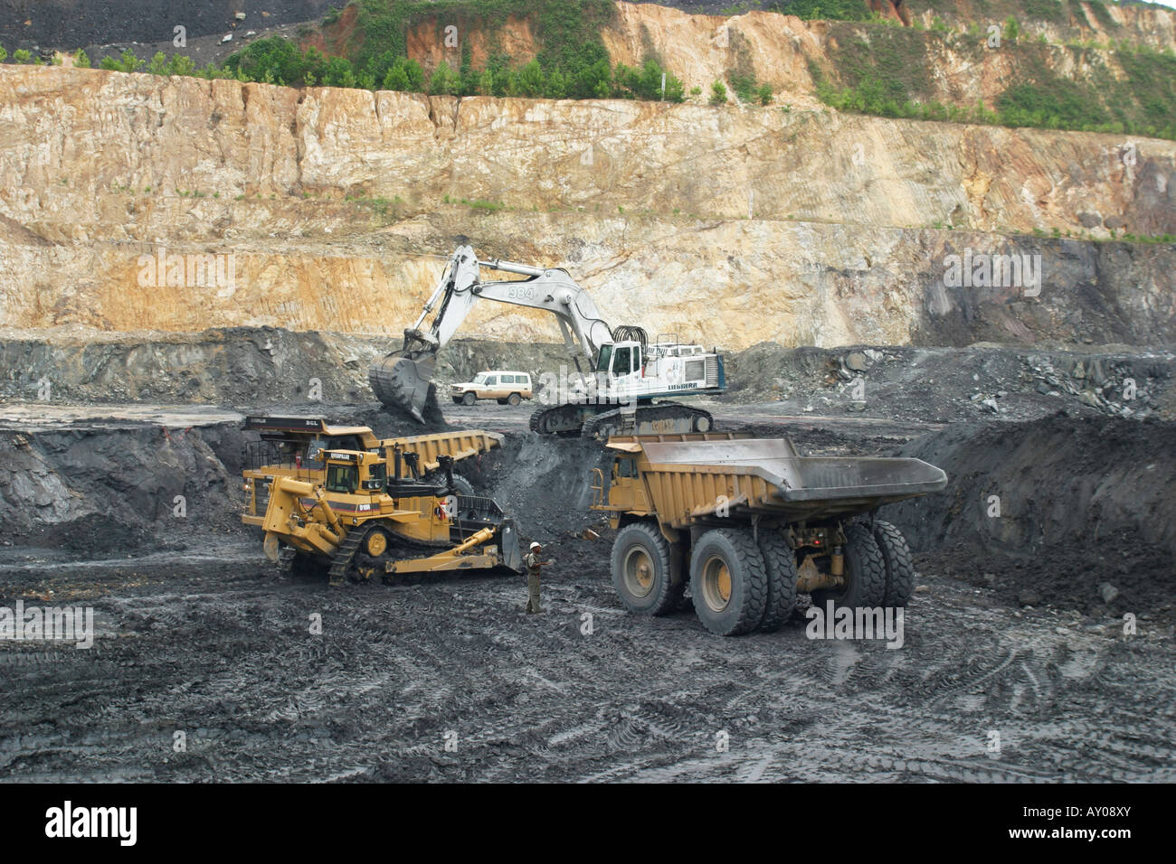 Dump haul trucks being filled with gold ore body for transport from ...