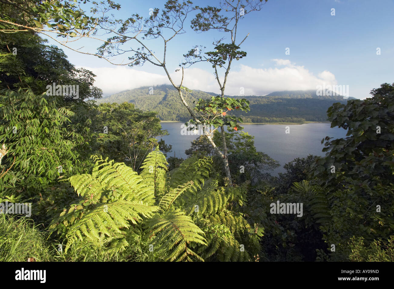 Bali, Danau Buyan Stock Photo - Alamy