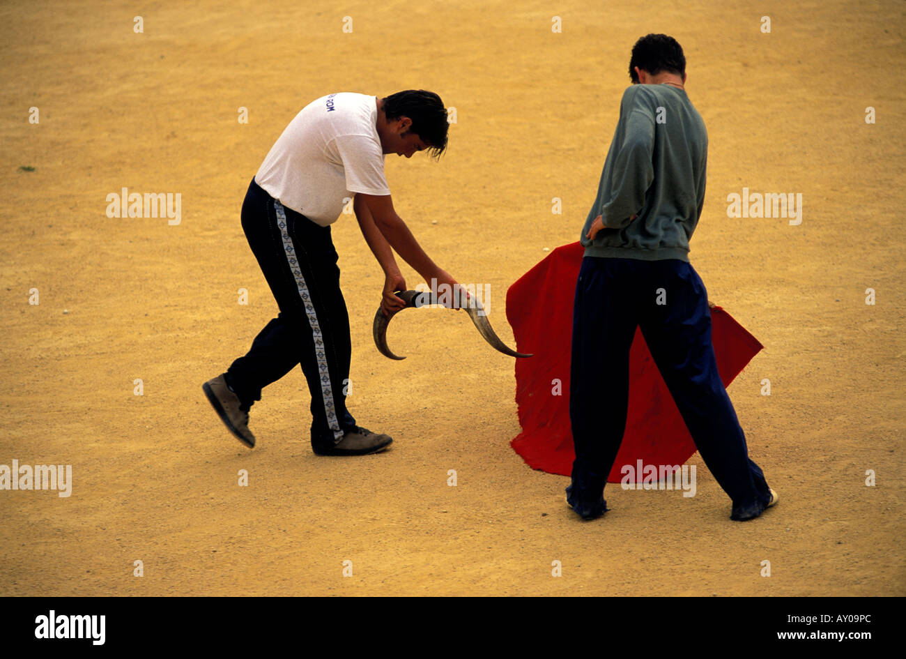 Aspirant bullfighters are practising their skills in the arena of a ...