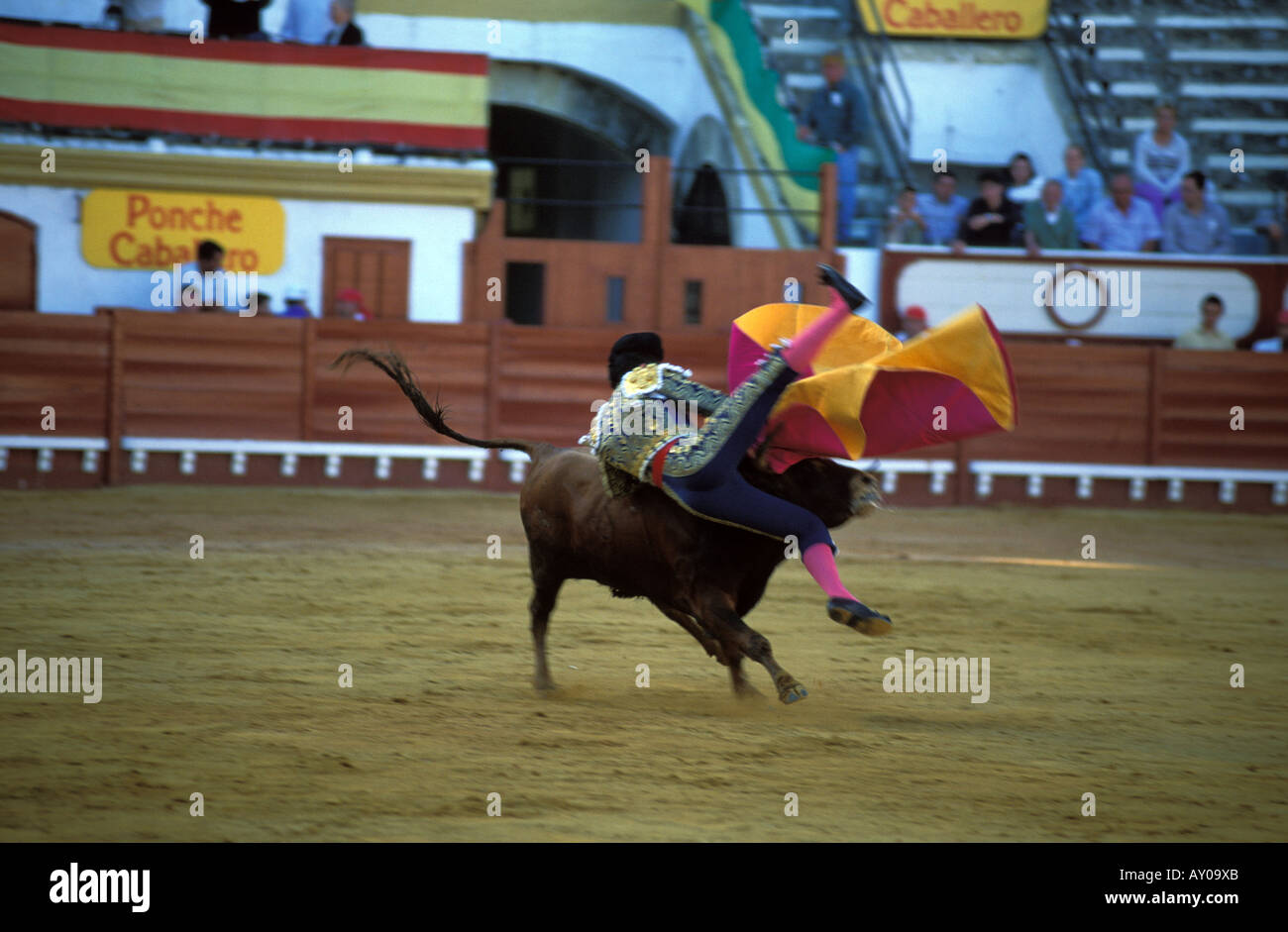 Bull charging during bullfight hi-res stock photography and images - Alamy
