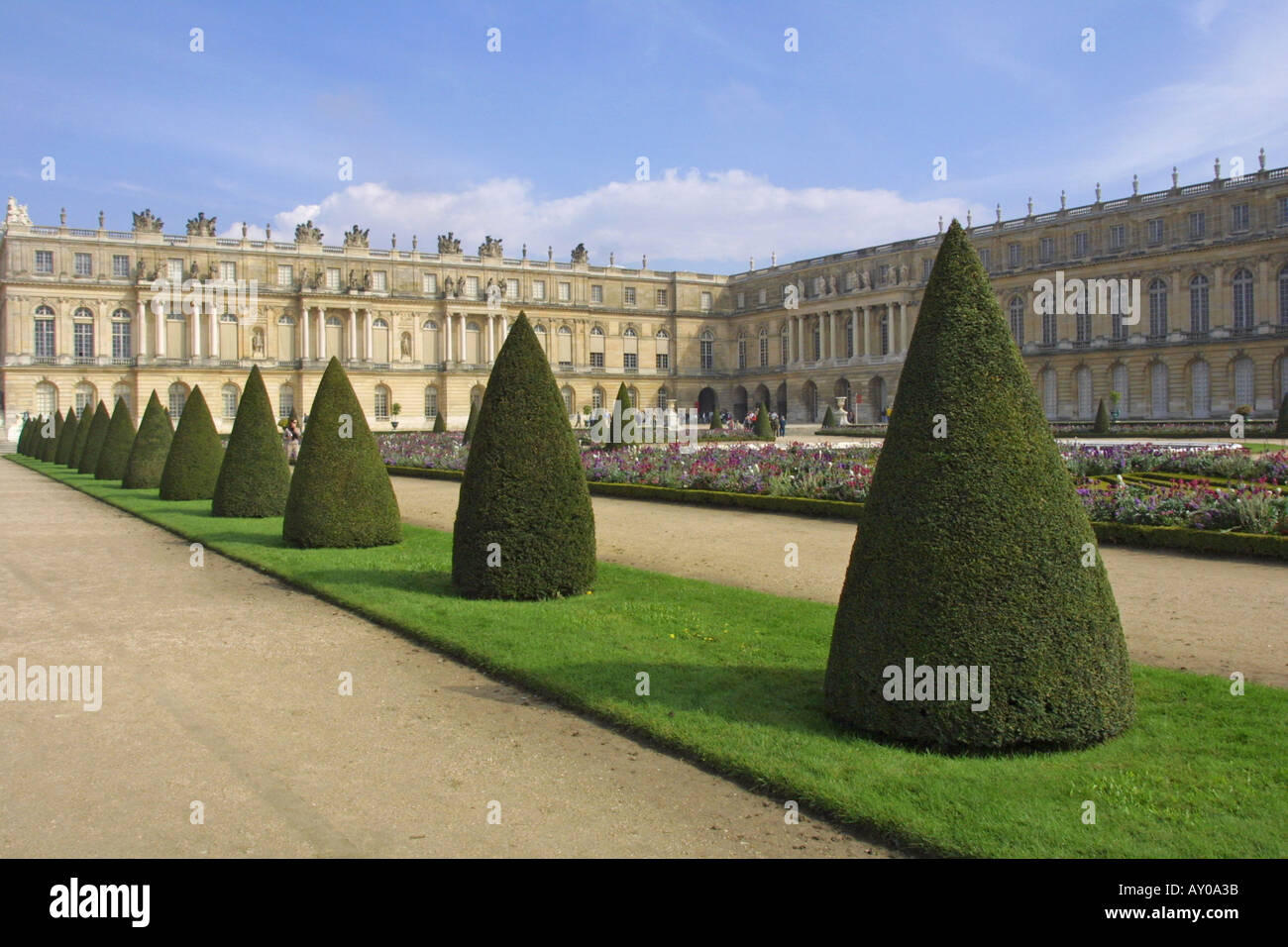 chateau de versailles france parterre pyramid shaped taxus topiary ...