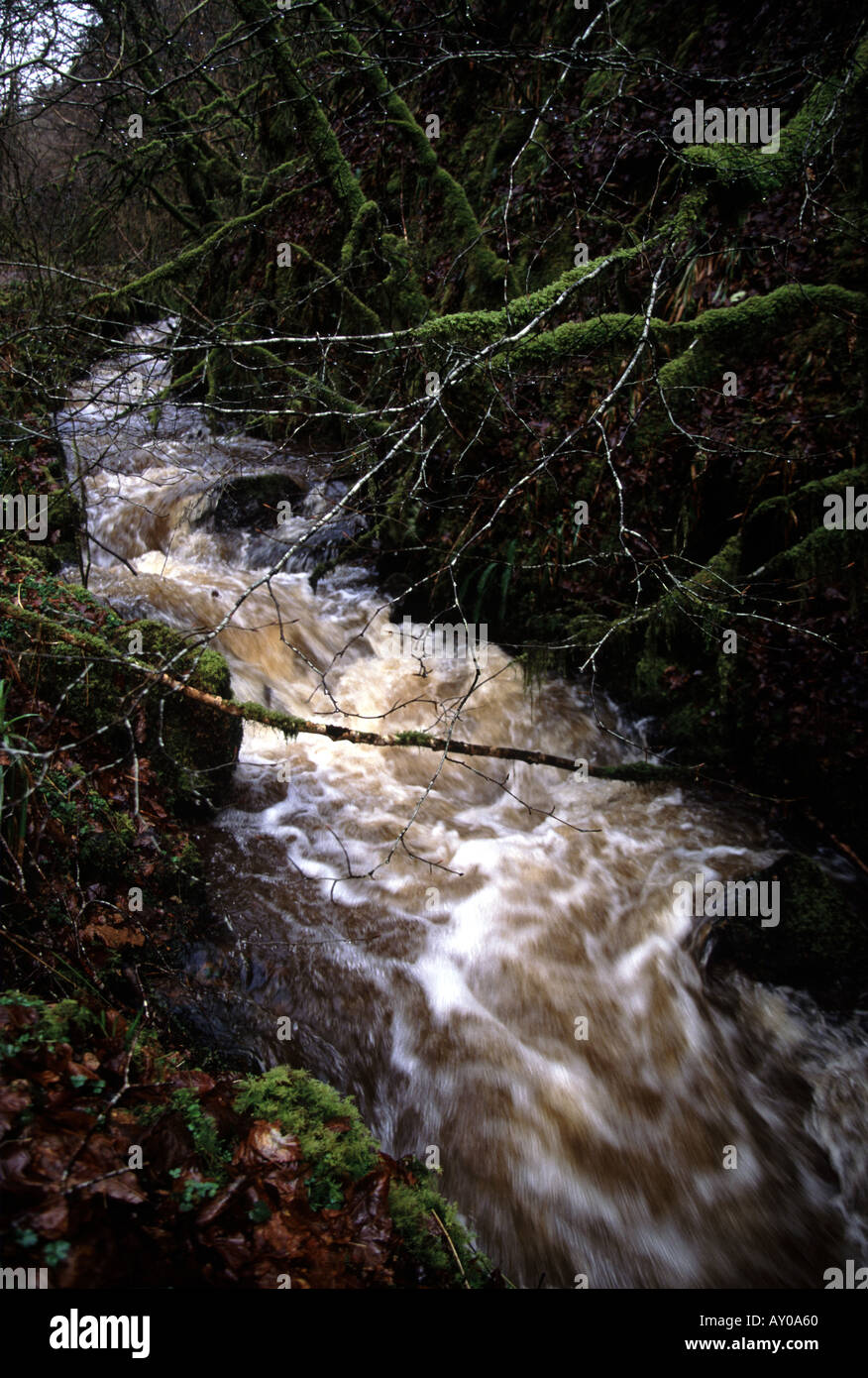 River in flood Stock Photo - Alamy