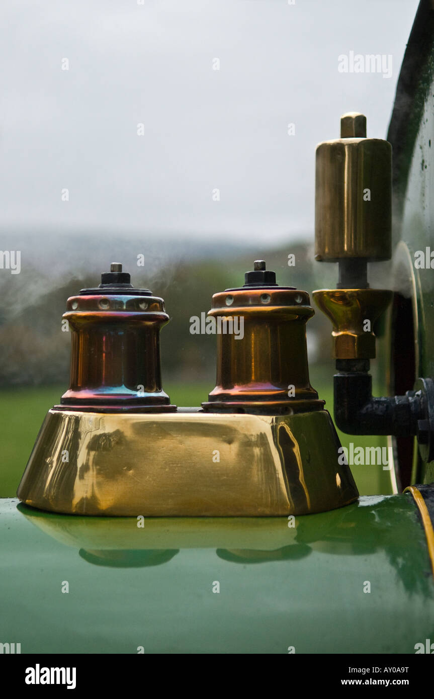 Detail of brass steam whistle and steam valves on a narrow gauge steam ...