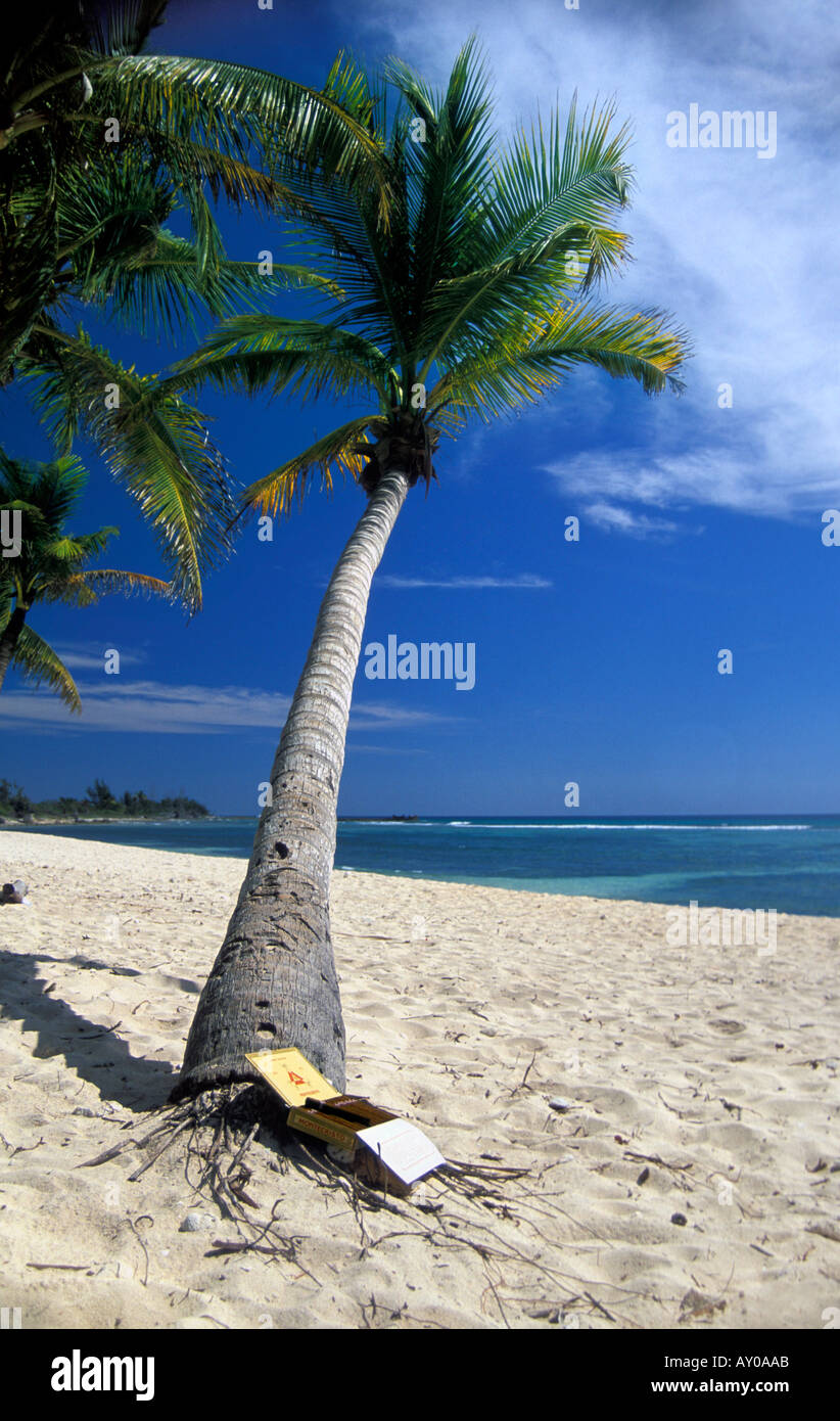 Box of Montecristo Cigars on Tropical Beach Stock Photo - Alamy