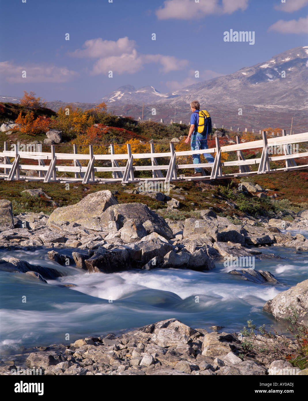 Female walker crossing a footbridge across a river in Maradalen, Skjak ...