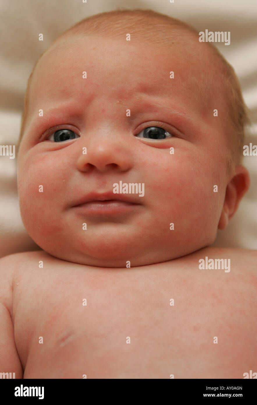 7 week old baby Stock Photo: 16950500 - Alamy