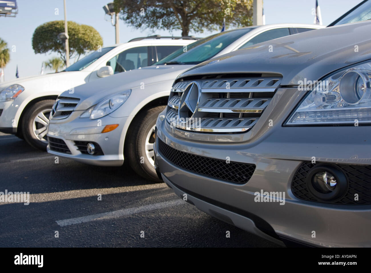 Luxury cars on display at a new car lot Stock Photo - Alamy