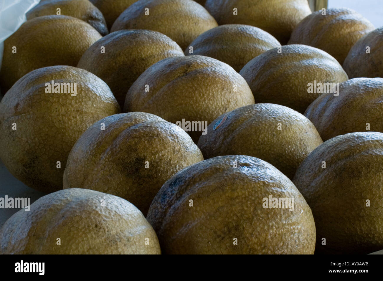 Mushmelon hi-res stock photography and images - Alamy