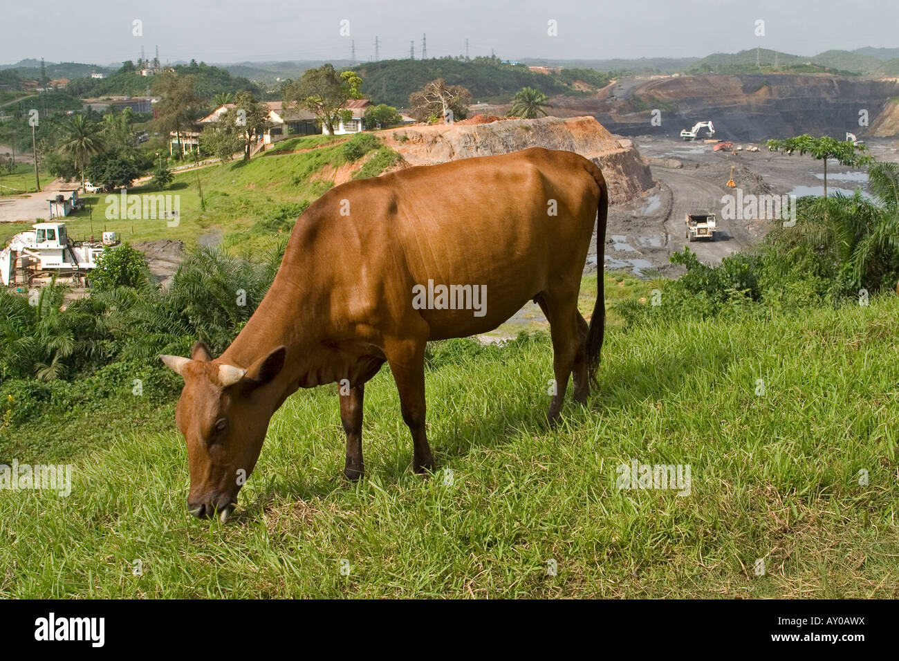 Prestea hi-res stock photography and images - Alamy