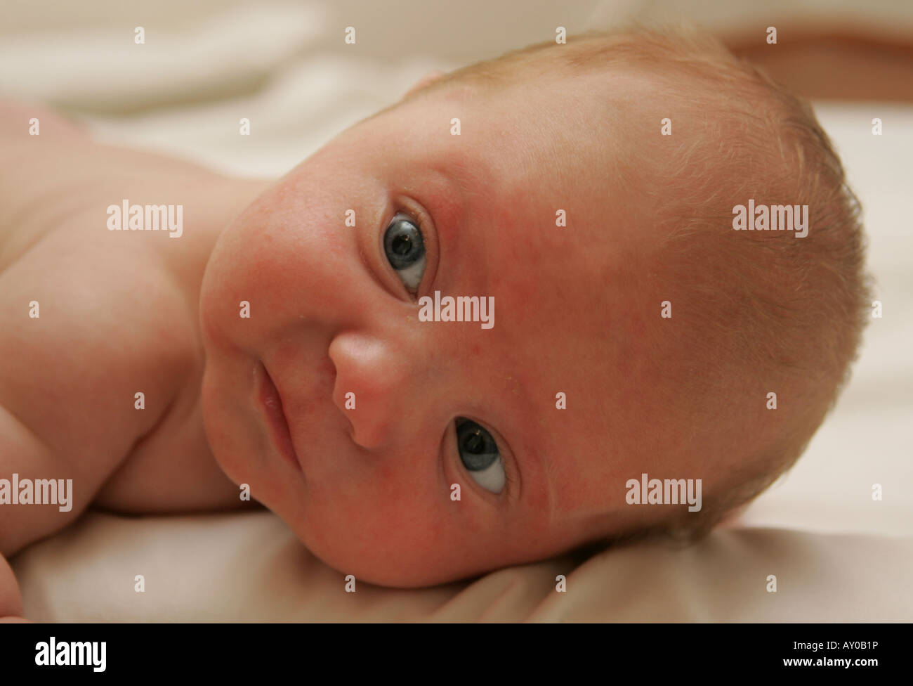 Babys first gaze hi-res stock photography and images - Alamy