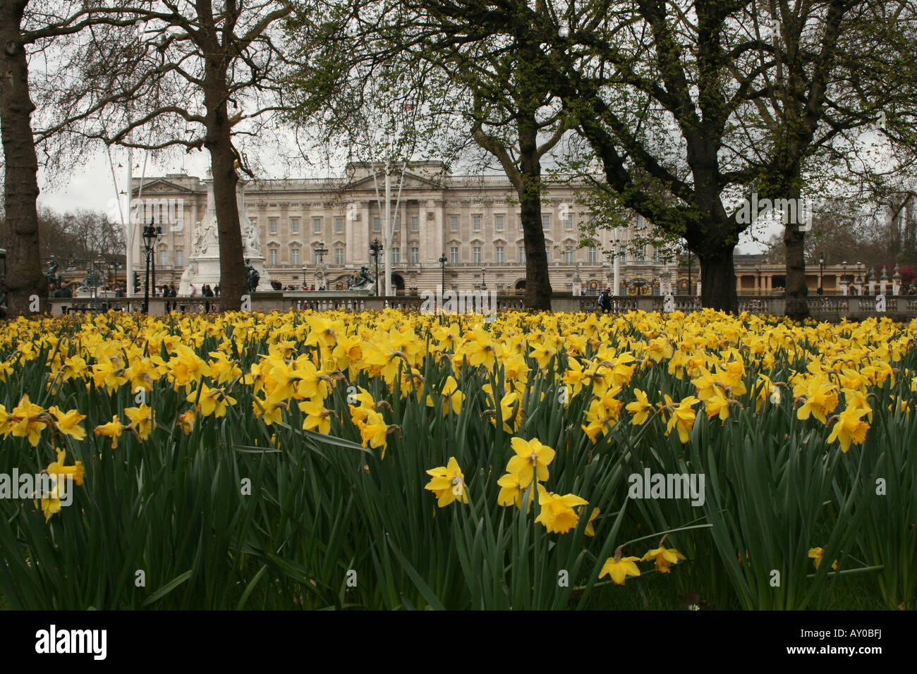 Buckingham Palace spring London March 2008 Stock Photo - Alamy