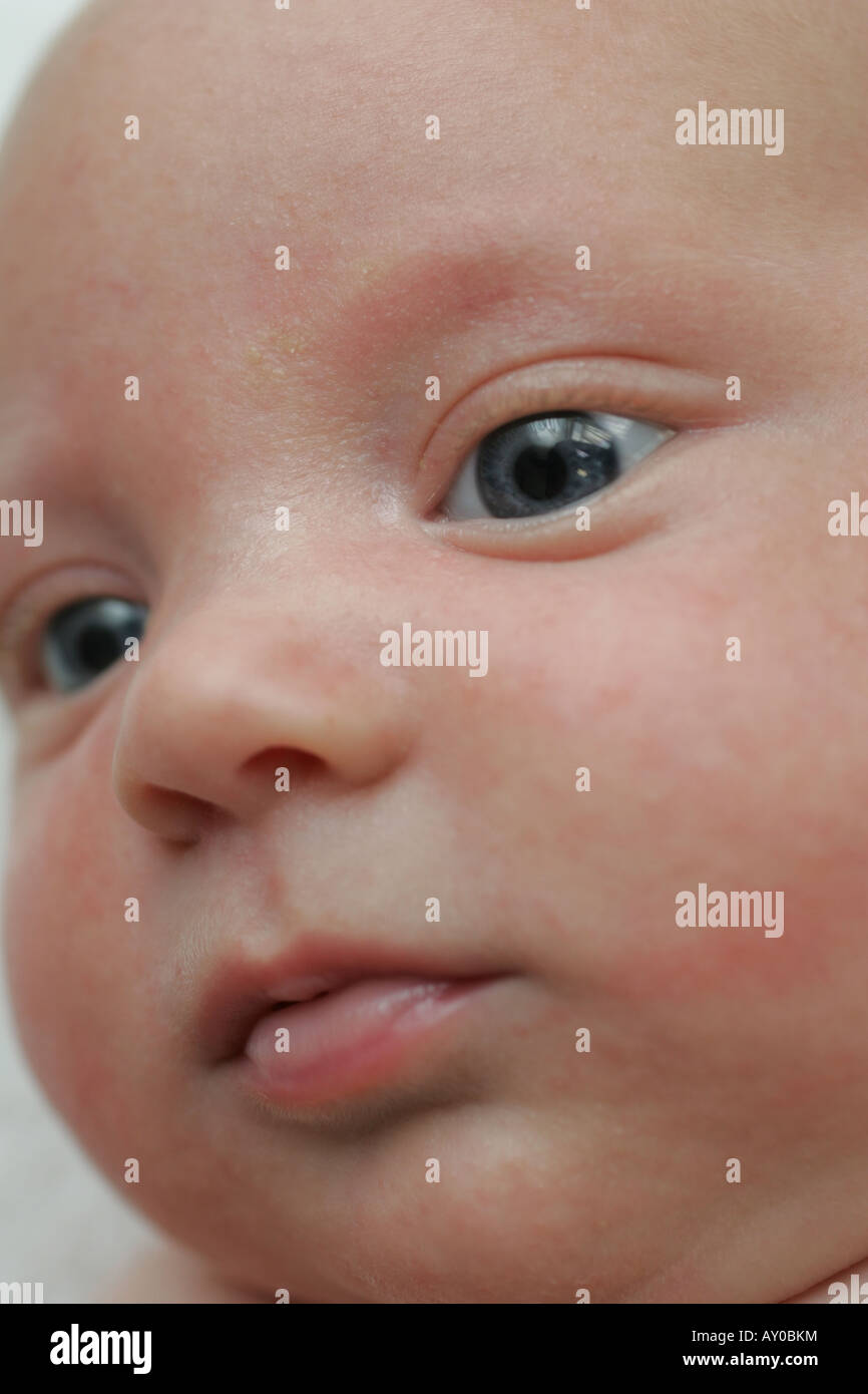 8 week old baby Stock Photo - Alamy