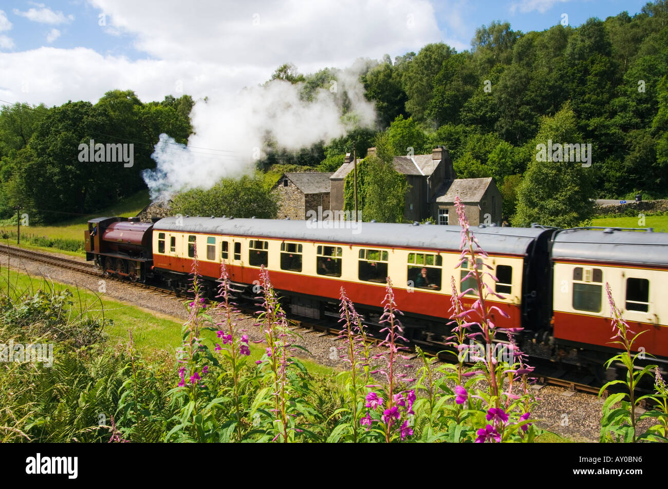 Train on the preserved Lakeside Haverthwaite Railway near Newby Bridge ...