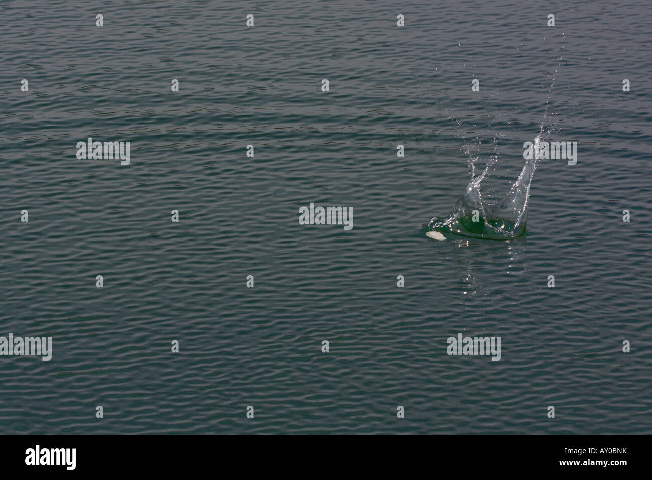 Skipping Rock Splash Stock Photo - Alamy