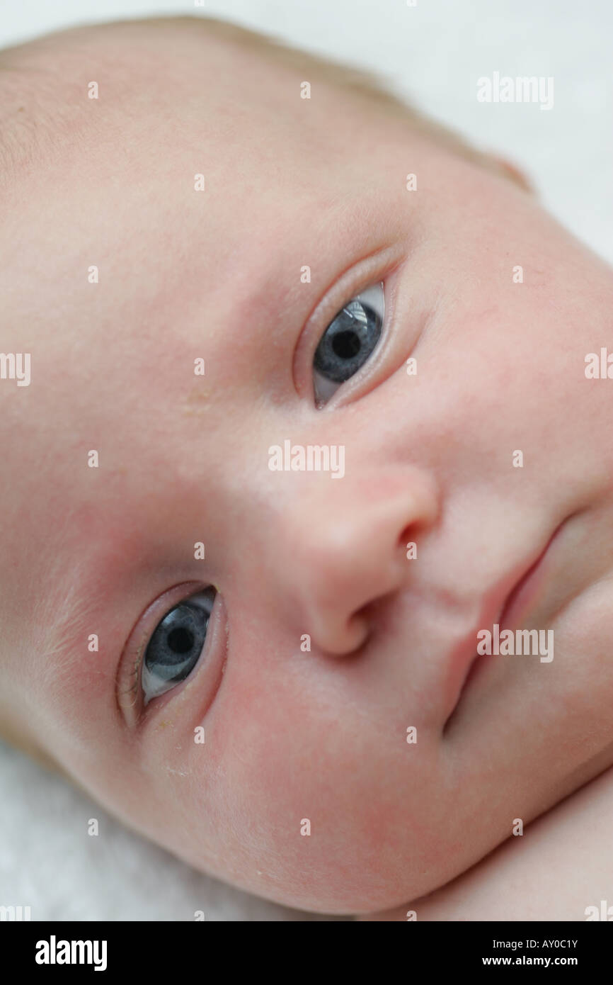 8 week old baby Stock Photo - Alamy