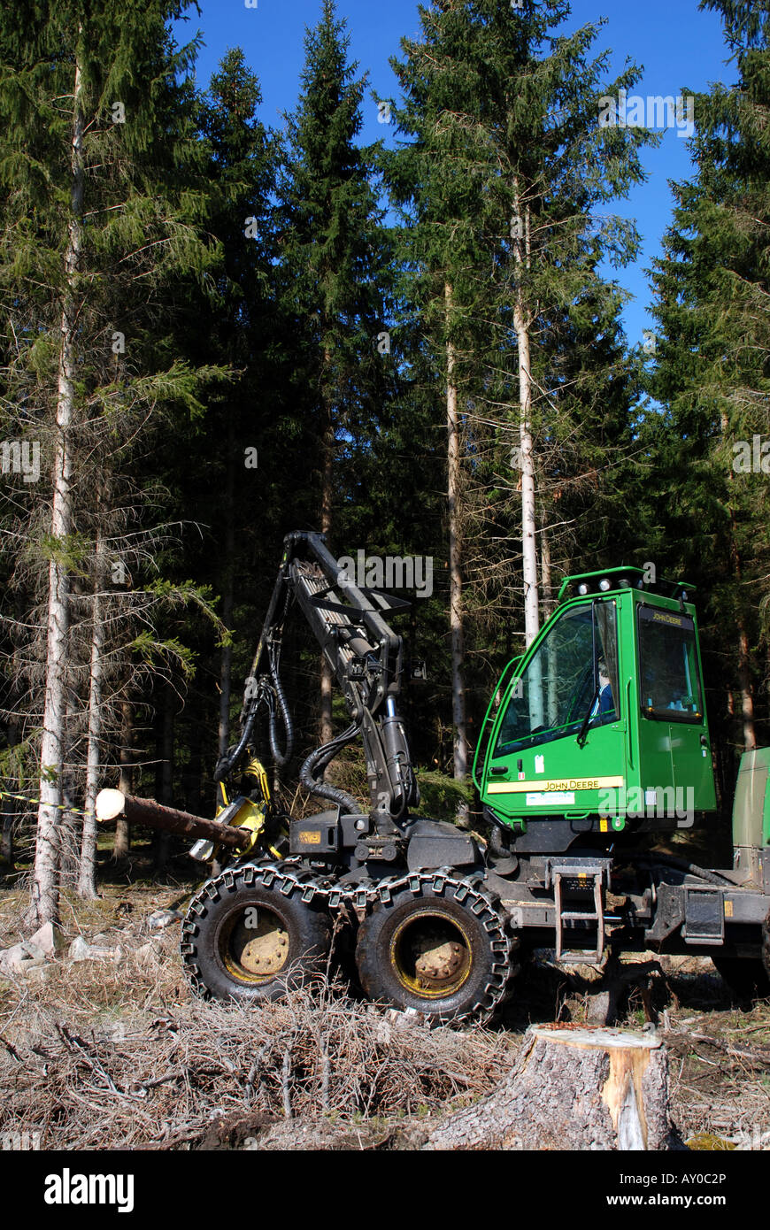 working in forest Stock Photo - Alamy