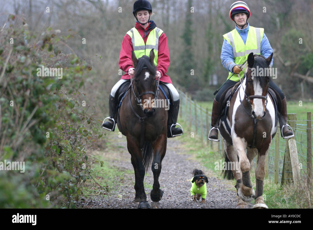 UK Wales Cardiff Forest Farm Nature Reserve and Taff Trail Horseriding ...