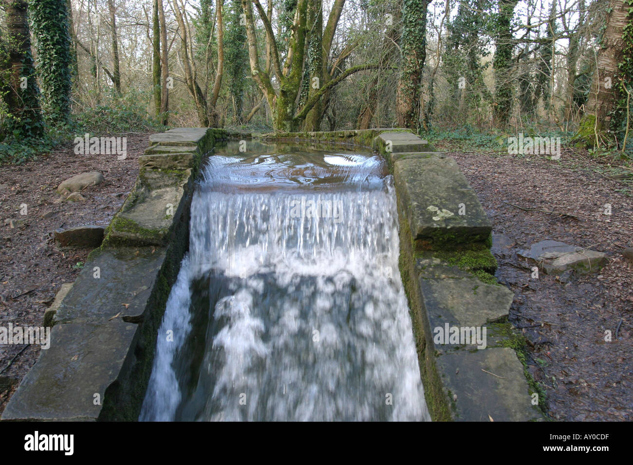UK Wales Cardiff Forest Farm Nature Reserve and Taff Trail SB Stock ...