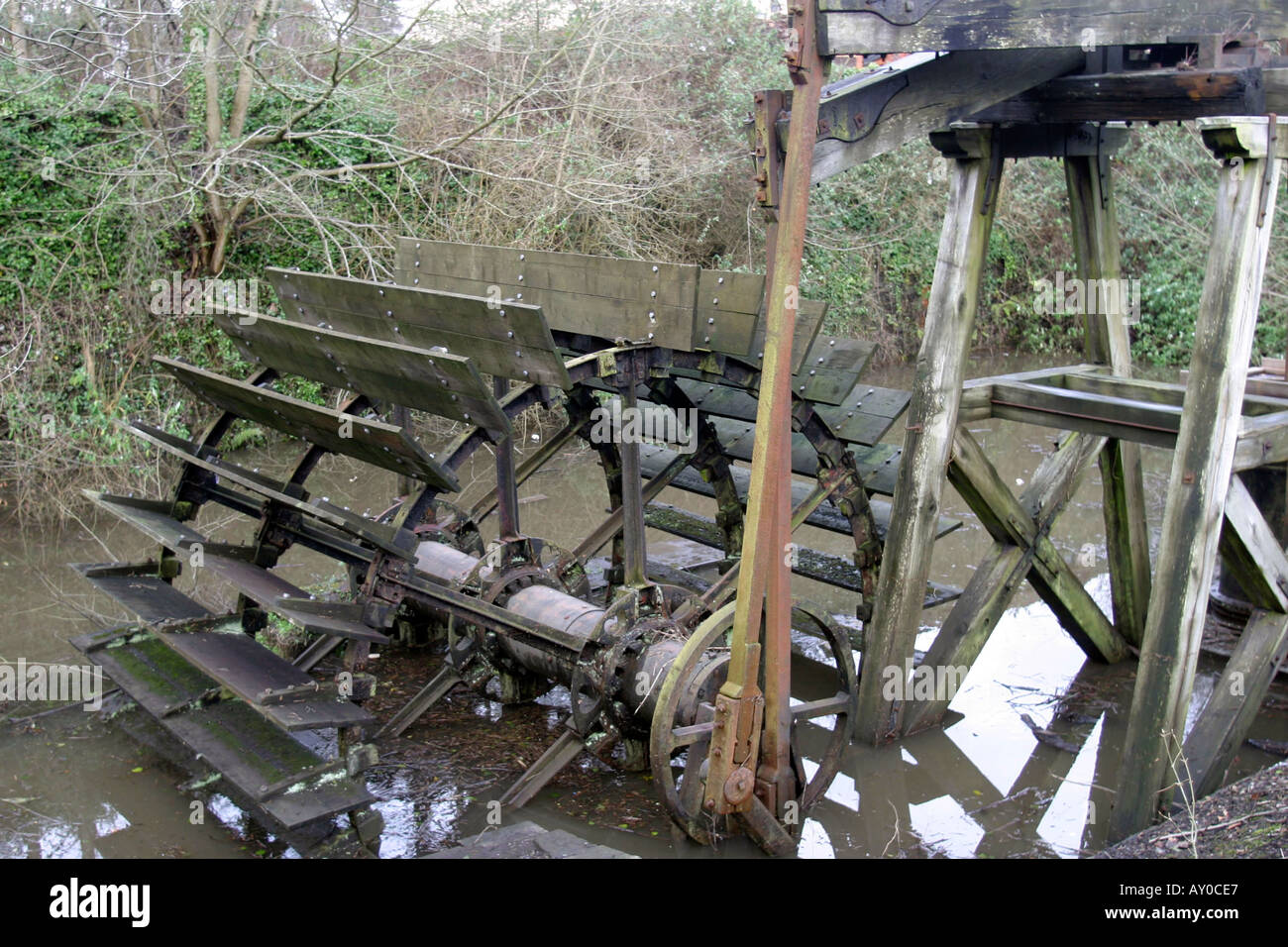 UK Wales Cardiff Forest Farm Nature Reserve and Taff Trail SB Stock ...