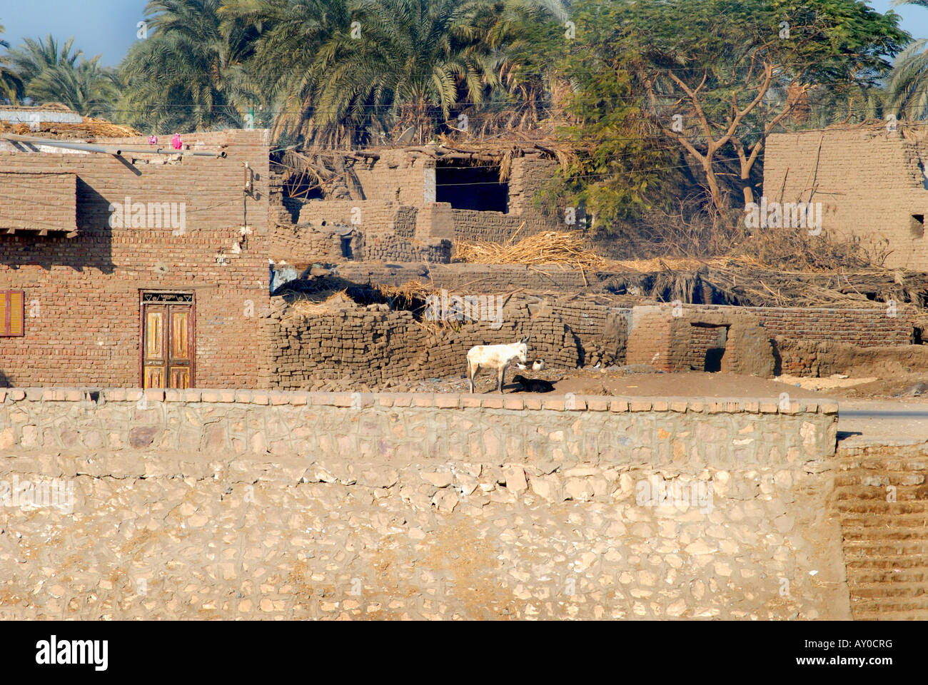 Cruising down the River Nile in Egypt with houses on the waters edge ...