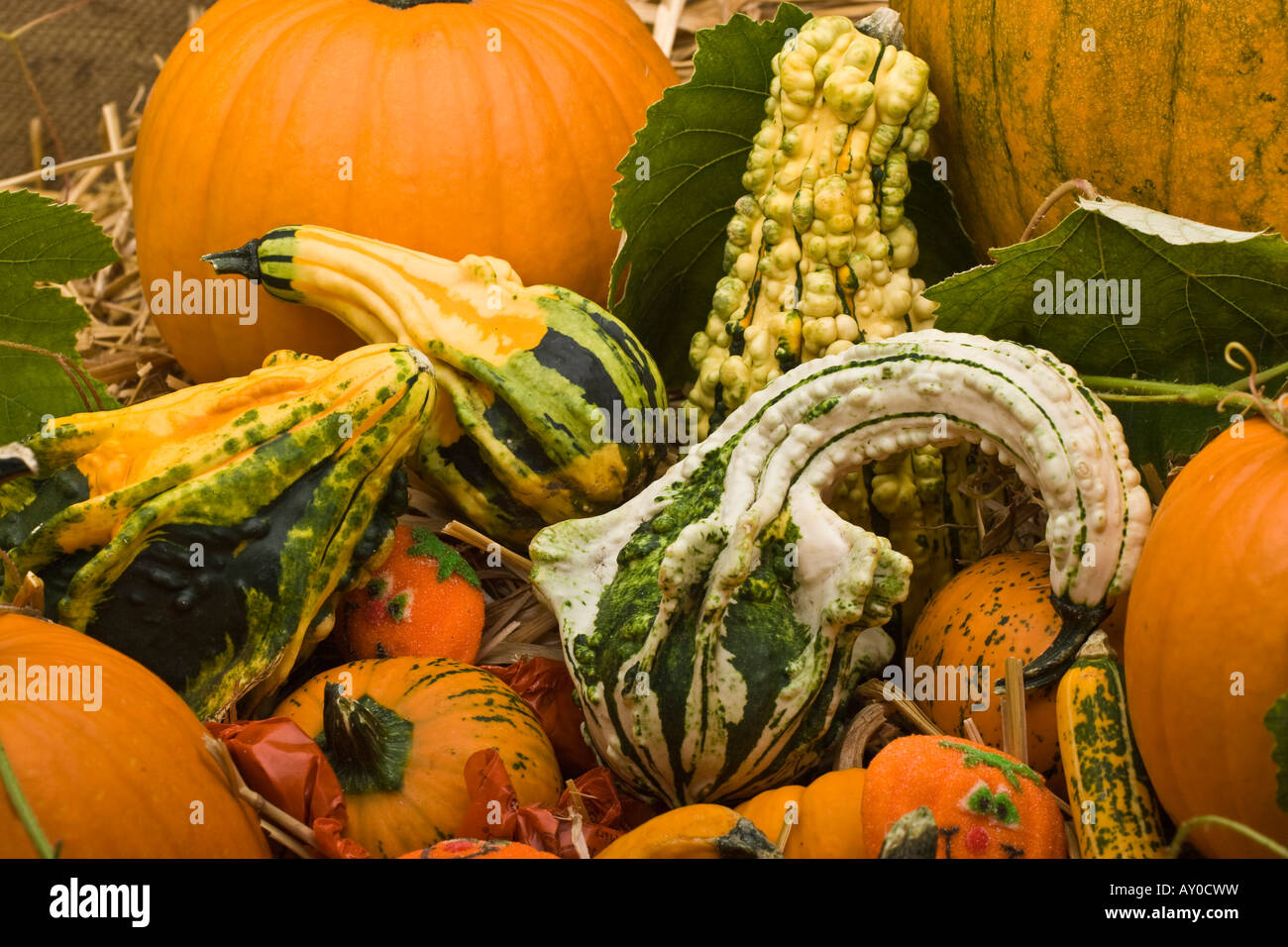 Variety hi res hi-res stock photography and images - Alamy