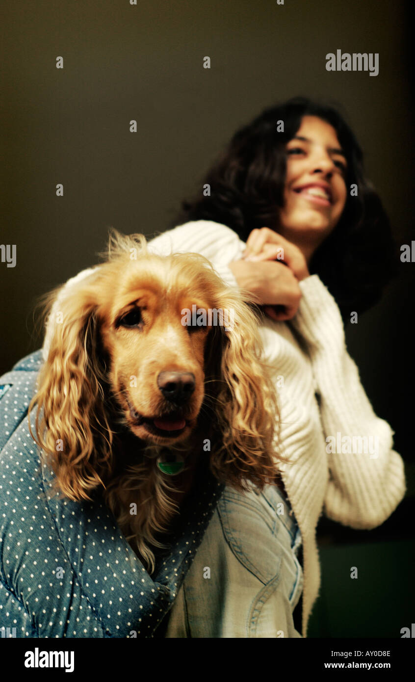 young girl holding cocker in a bag Stock Photo - Alamy