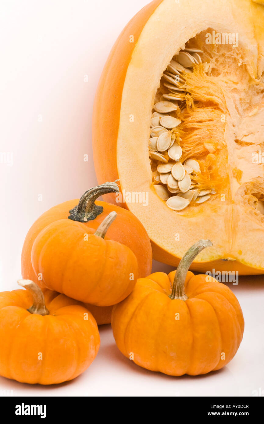 Open seeds hi hi-res stock photography and images - Alamy