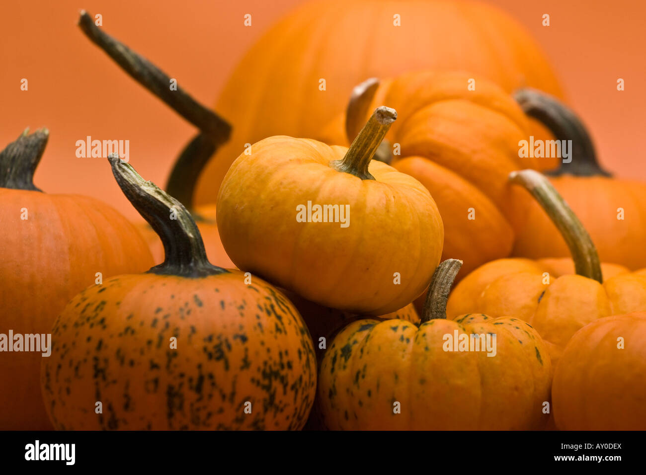 Aesthetic wallpaper hi hi-res stock photography and images - Alamy